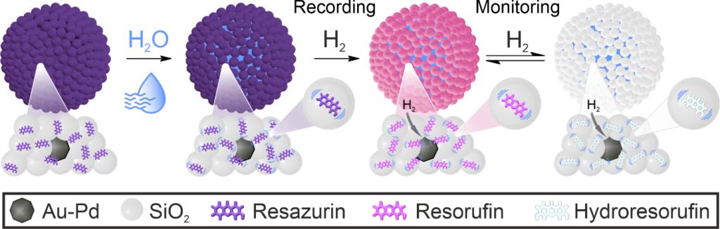 Silica supraparticles for hydrogen detection - Institute of Separation ...